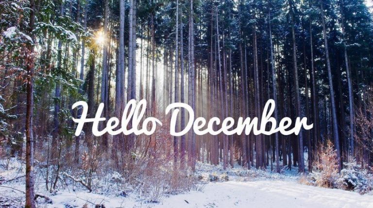 Best 65 Hello December Quotes and Sayings 2020 - Events Yard