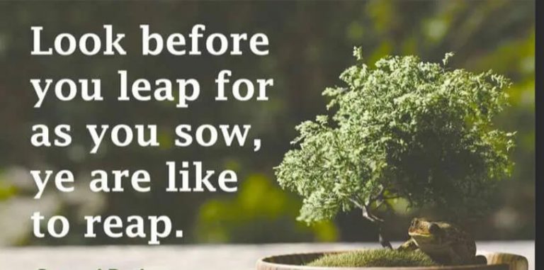 Best 50 Leap Year Quotes and Sayings 2020 - Events Yard